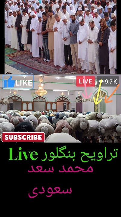 hafiz mohammad saad ubaidi #shortvideo #taraweeh #ramzan 👍👍 - YouTube