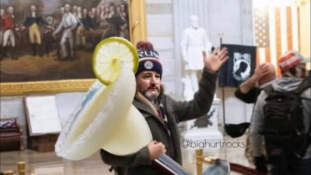 Ted-fled: a Ted Cruz fleeing to Cancun meme compilation video + find ...