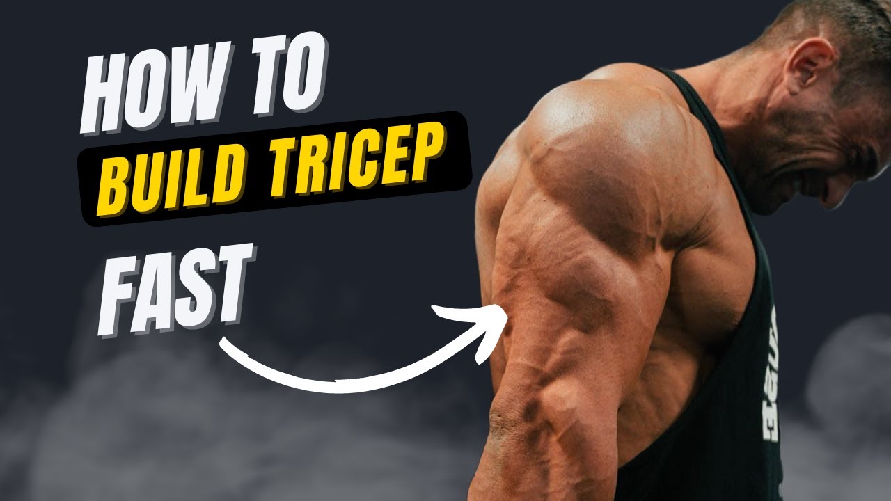 How To Build Your Triceps Fast ( Effective Exercises) Best Exercises To ...