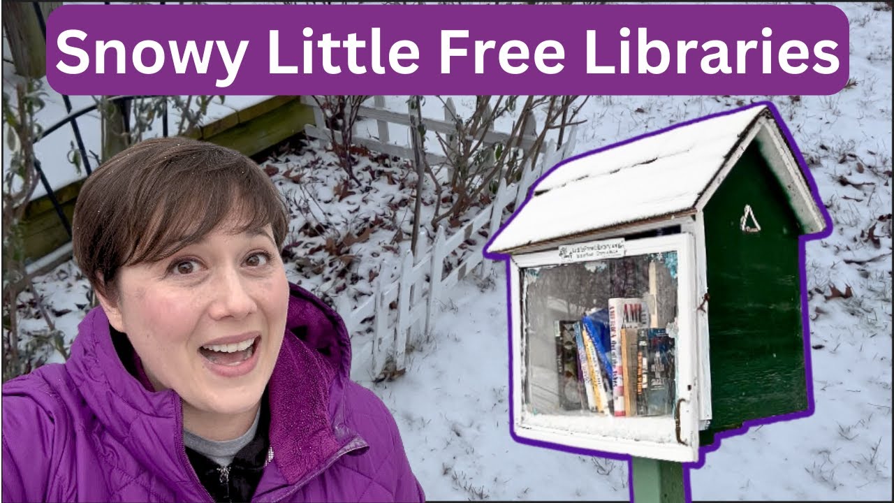 ️ Little Free Libraries in the Snow ☃️ Winter Free Little Libraries 🌨 ...
