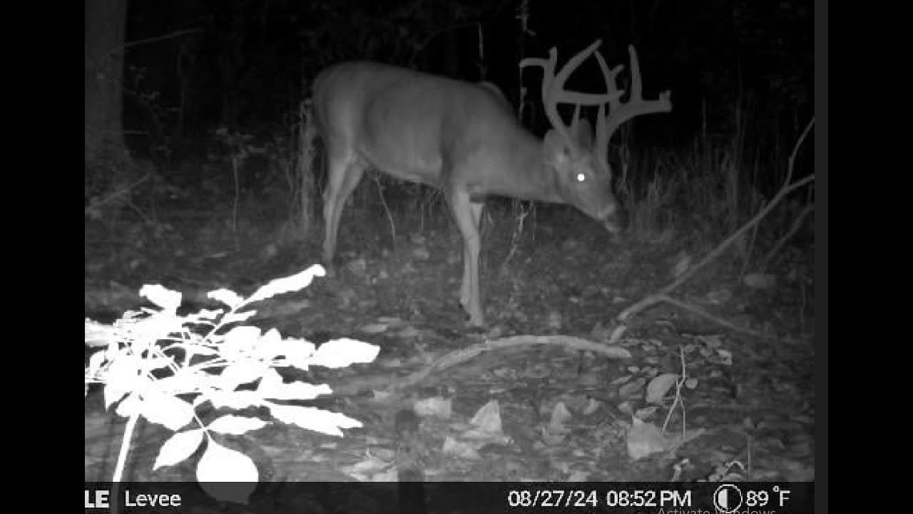 Buck shot in neck & lived - 2024 - YouTube