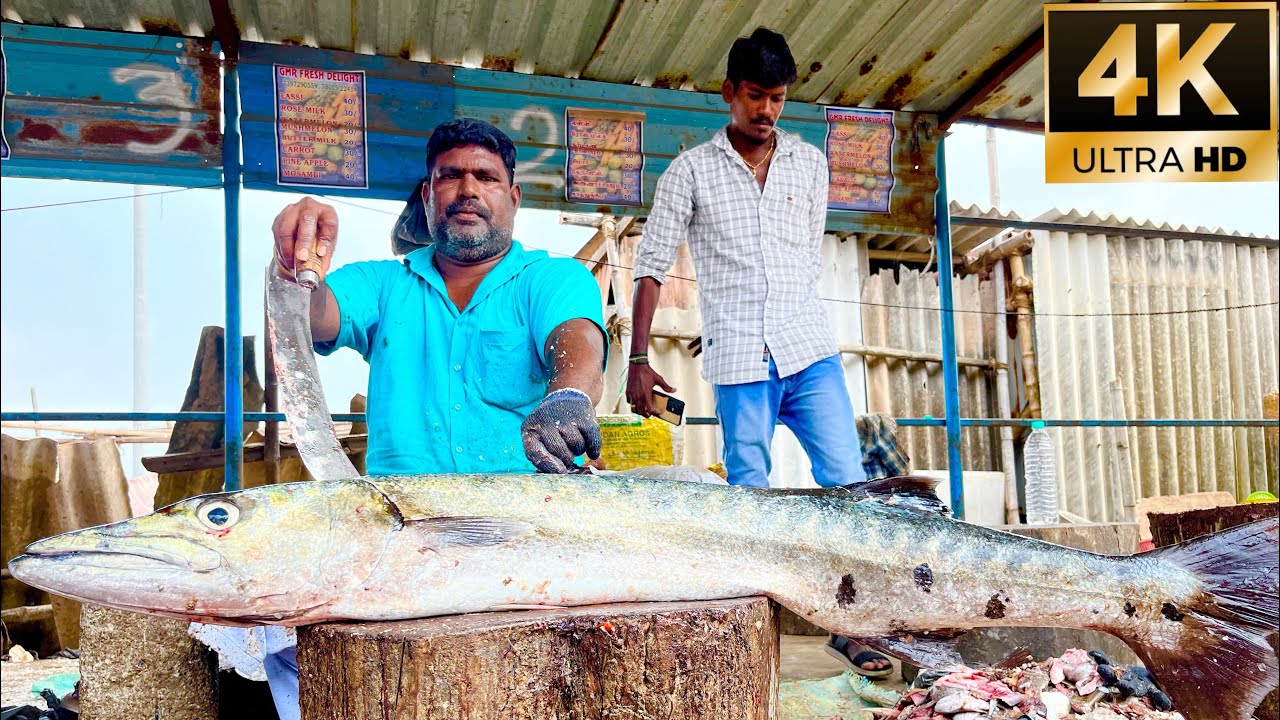 Sila fish cutting video/fishcuttingrs#fish #kasimedu #fishcuttingrs ...
