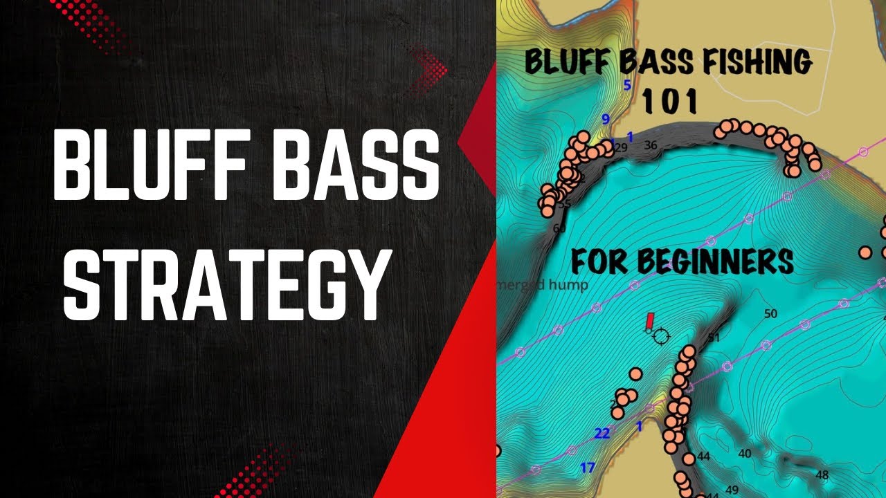 Beginners guide to bass fishing bluffs(it’s where they are year round ...