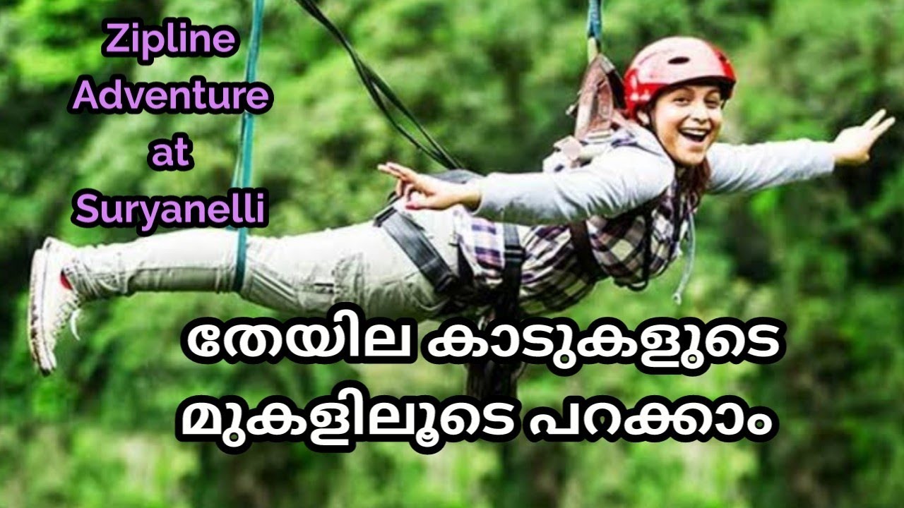 Zipline Adventure at Suryanelli | Ripple Adventures | Zipline over ...