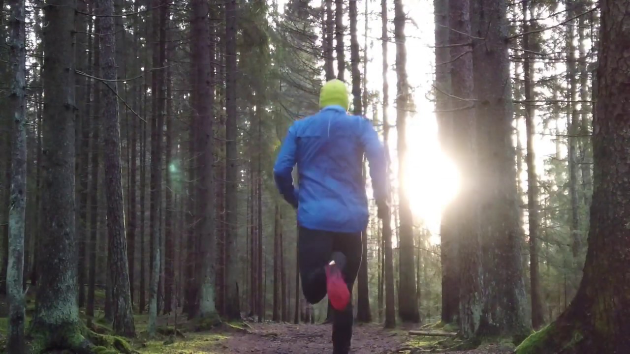 Polkujuoksu ja polkujuoksutekniikka! - YouTube