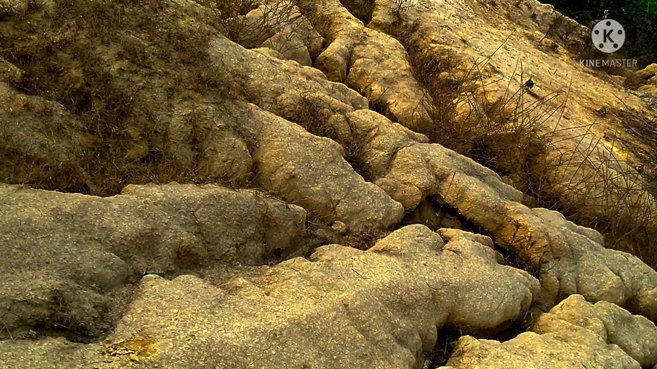 lahore ke shair | Lahore pind | village life | Saith_ahtisham_vlog ...