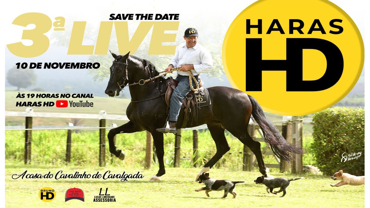 3ª LIVE DO HARAS HD - 10/11/2022 - YouTube