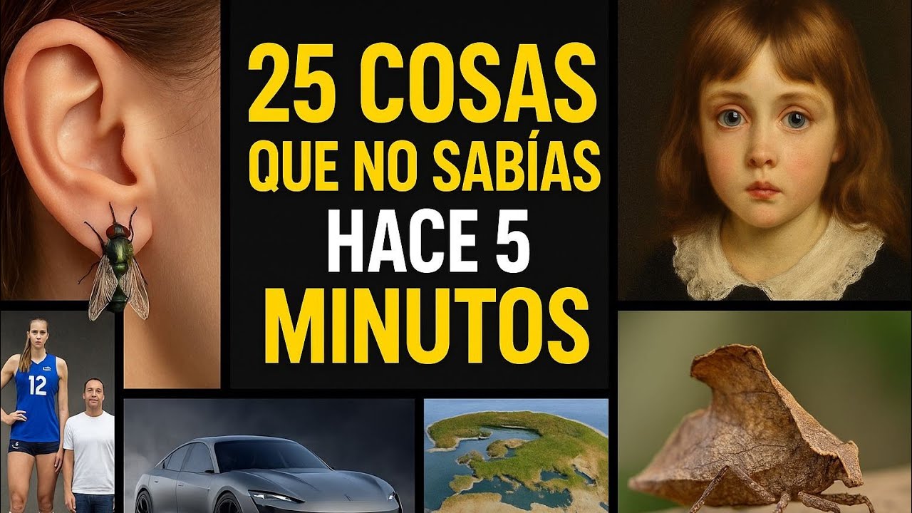 25 Cosas Increíbles Que No Sabías Hace 5 Minutos 😱 - YouTube