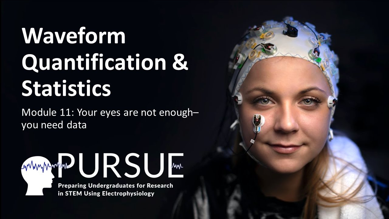 11.1 Waveform Quantification - YouTube