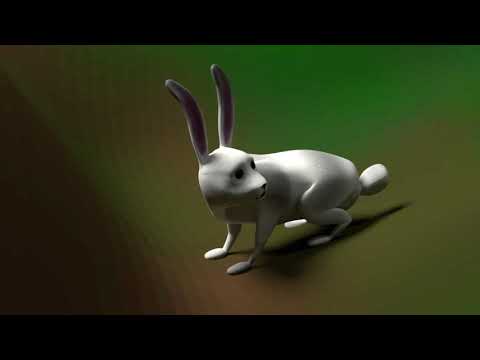 Bunny Animation - YouTube