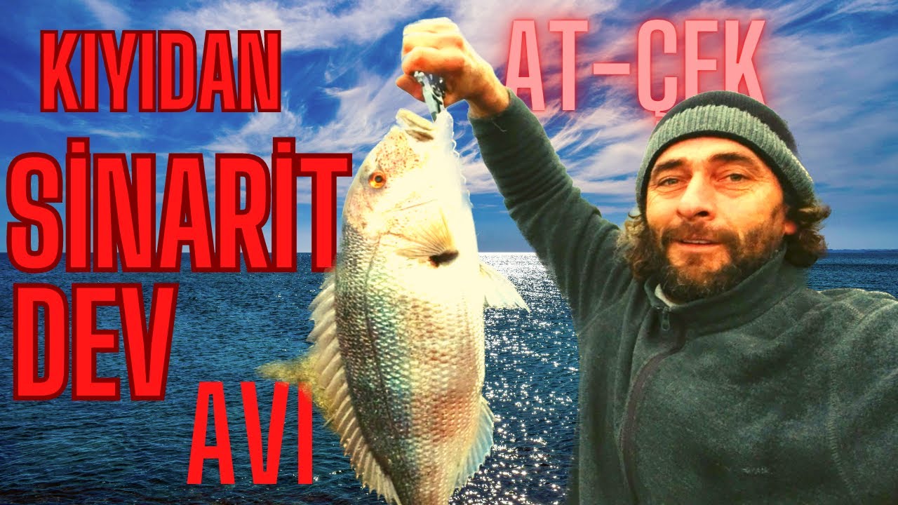 GÖKÇEADA AT-ÇEK İLE DEV SİNARİT AVI!! KALAMA ALEV ALDI!! GIANT DENTEX ...