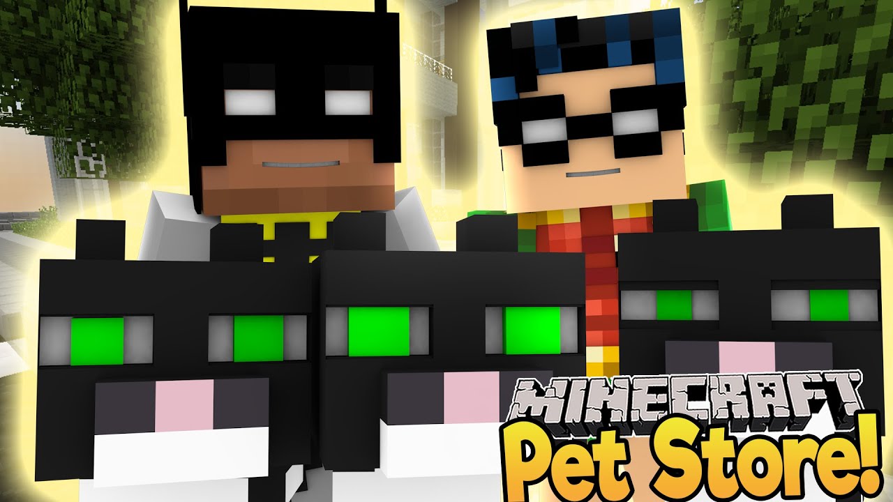 Minecraft Baby Daycare - NEW PET STORE Trip w/ Baby Batman and Robin ...