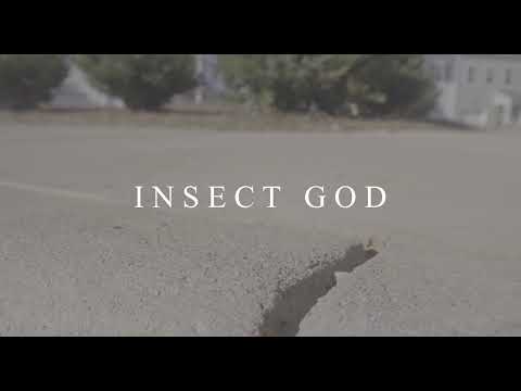 insect God - YouTube