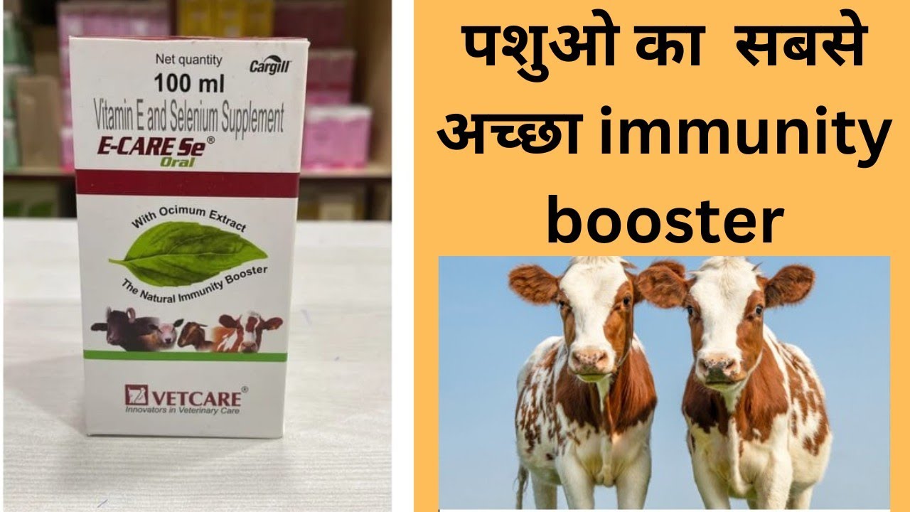 E care SE oral || e care se oral use in hindi - YouTube