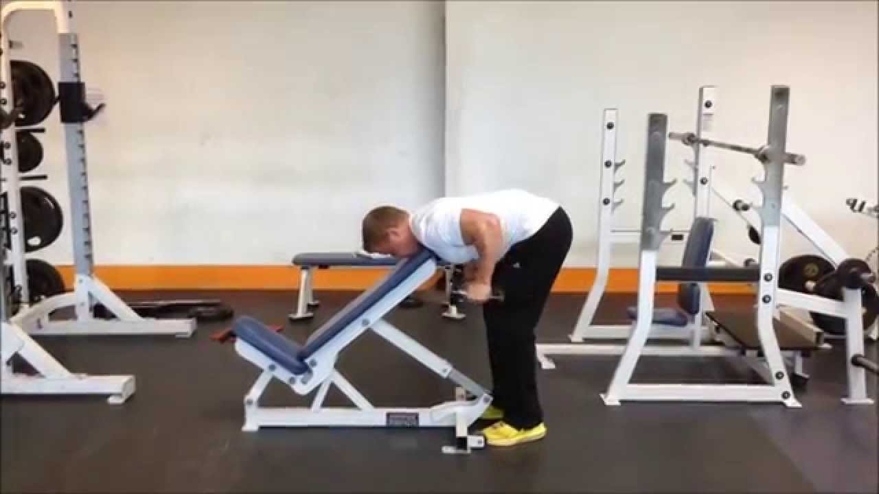 Supported Dumbbell Kickback - YouTube