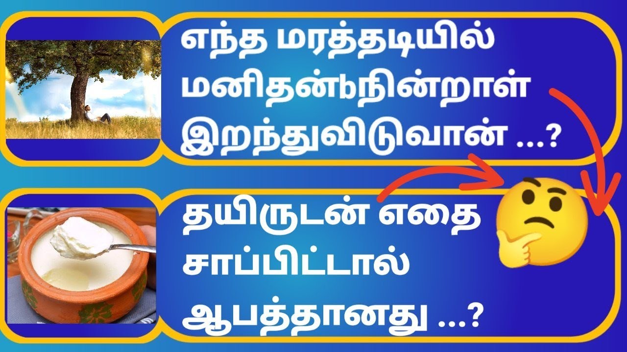 Interesting Questions In Tamil Tamil GK Part 4 Top Tamil Quiz interesting-questions-in-tamil-tamil-gk-part-4-top-tamil-quiz