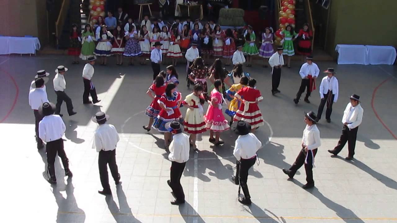 Palomo desmemoriado (Rolando Alarcón) - YouTube