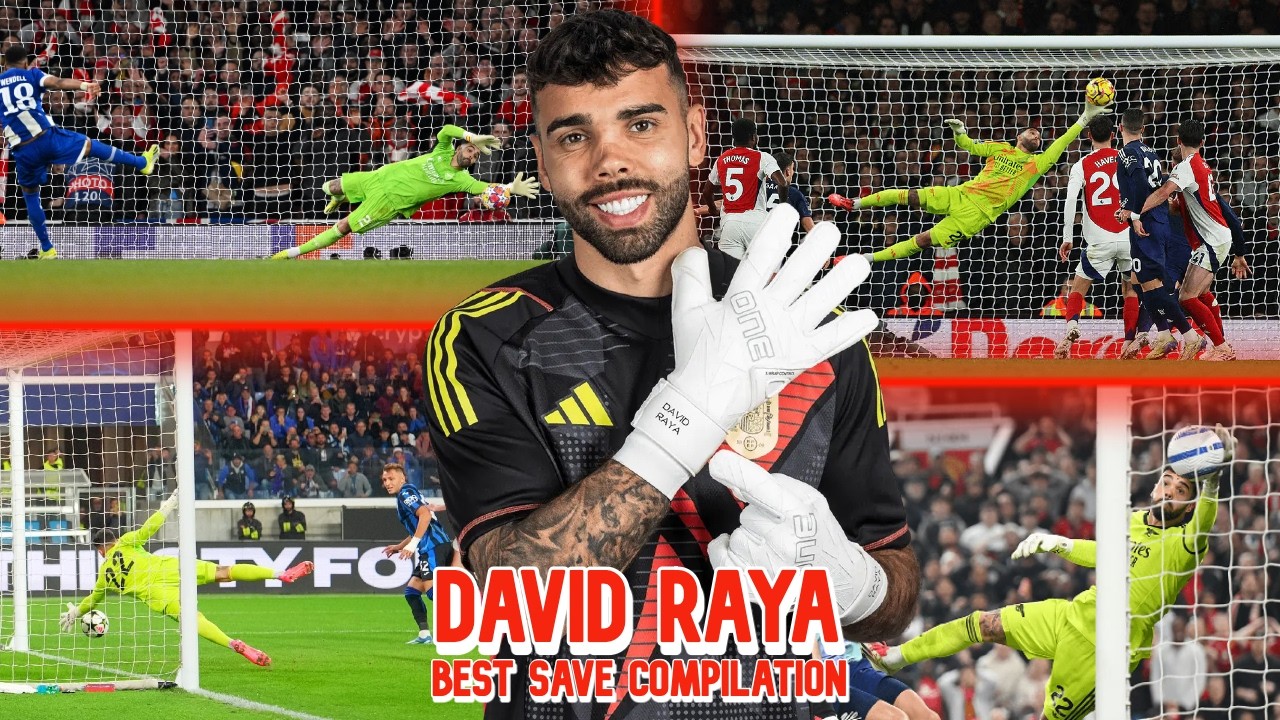 David Raya Best Saves • Save Compilation | Arsenal Hero ??? - YouTube