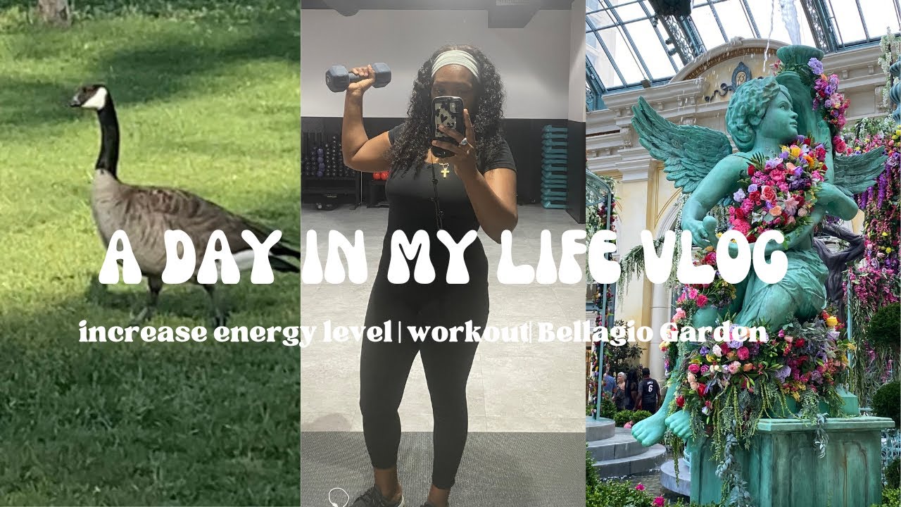 VLOG | Mental Update| Chit Chat in the park| Workout| Bellagio Garden ...
