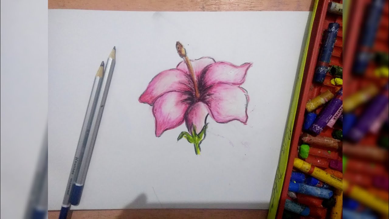 A Flower Drawing ll Flower Study - YouTube