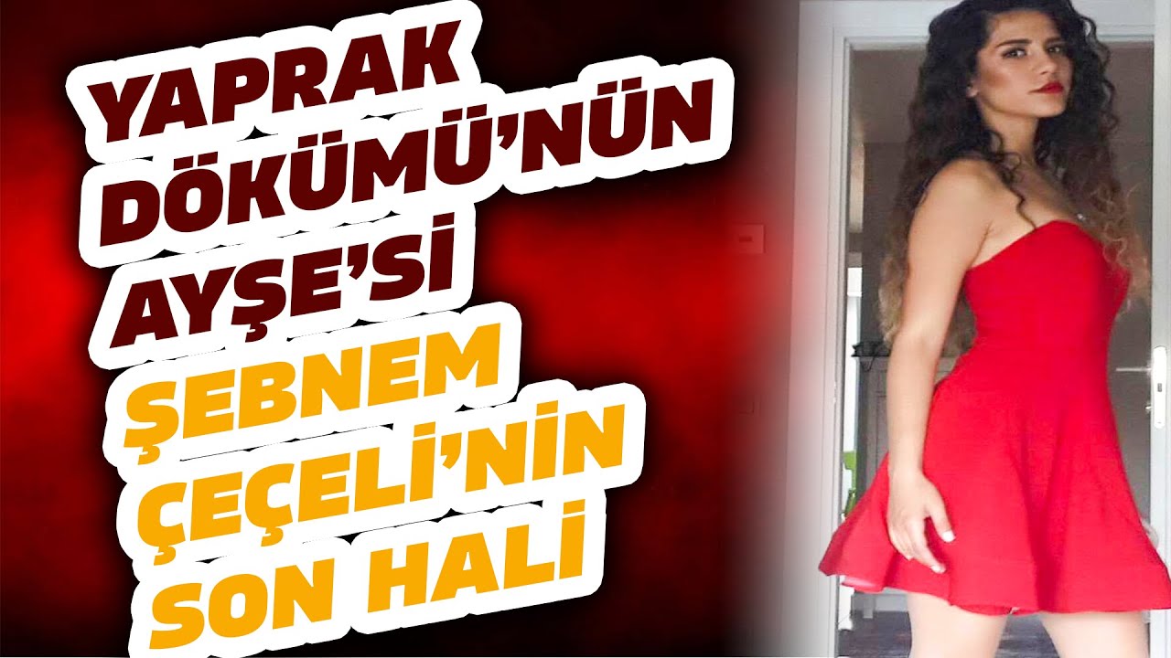 YAPRAK DÖKÜMÜ'NÜN AYŞE'Sİ ŞEBNEM CECELİ'İN SON HALİ TREND OLDU - YouTube