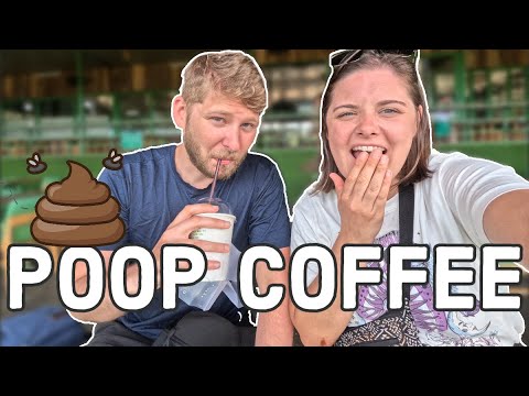 Weasel Poop Coffee: Vietnam's Craziest Drink? - YouTube