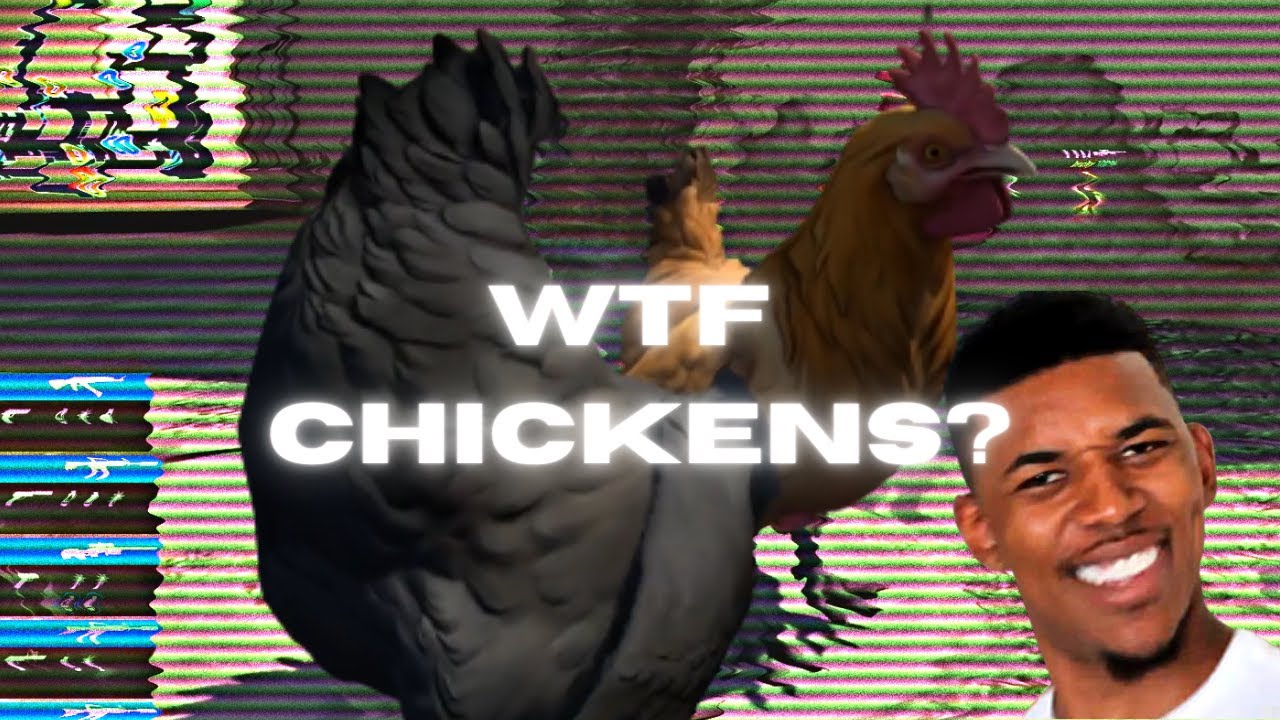 WTF THese ChiCKenS - YouTube