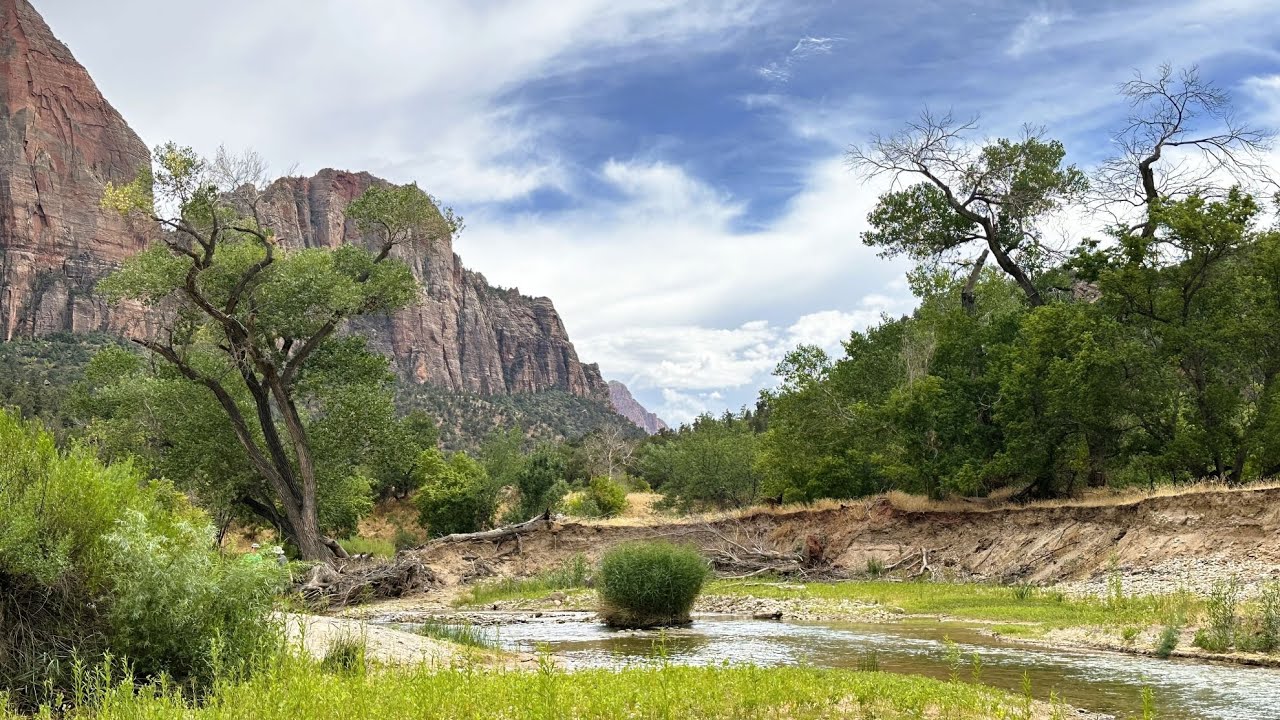 Zion National Park for Non-Hikers - Day Visit Summer 2024 - YouTube