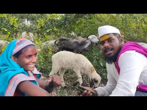 खुश..!🥰 | dhangari jivan | sidu hake - YouTube