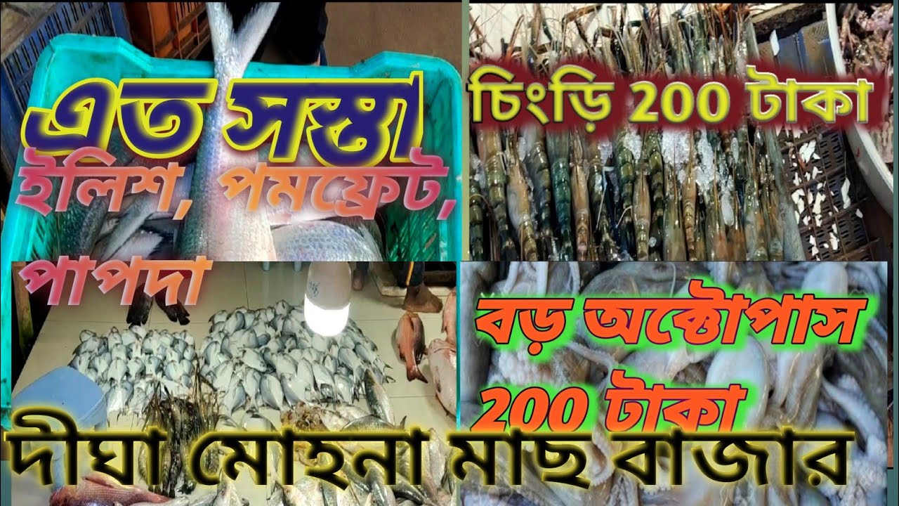 Digha Mohana Fish Market | Digha Fish Market | Mohana Fish Market ...