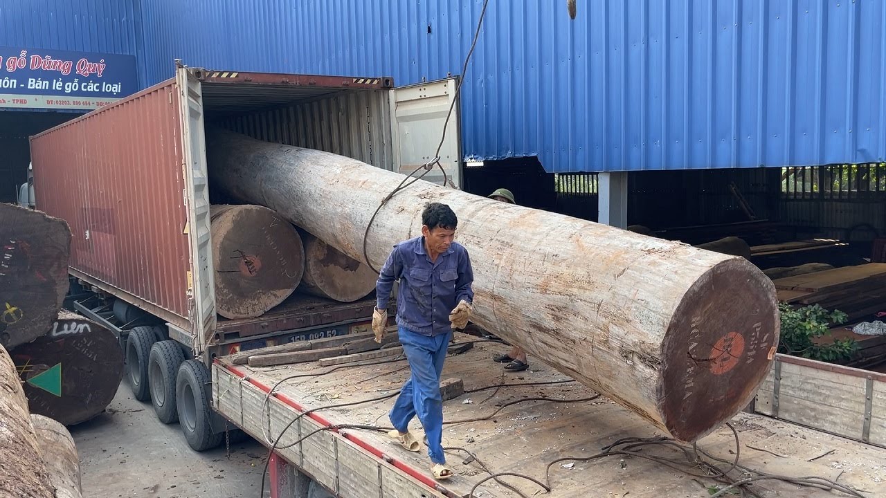 Loading Wood From Containers is Very Dangerous and The Handling ...