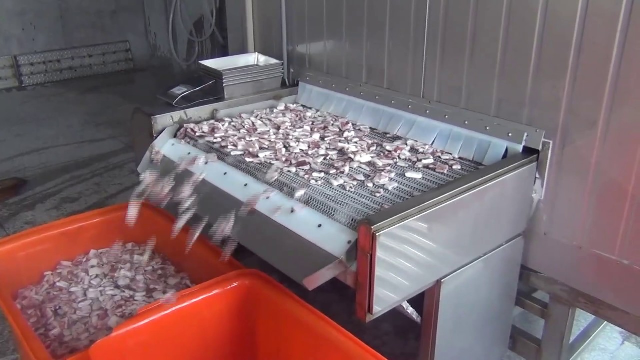 Spiral freezer freezes slice squid and glazing - YouTube