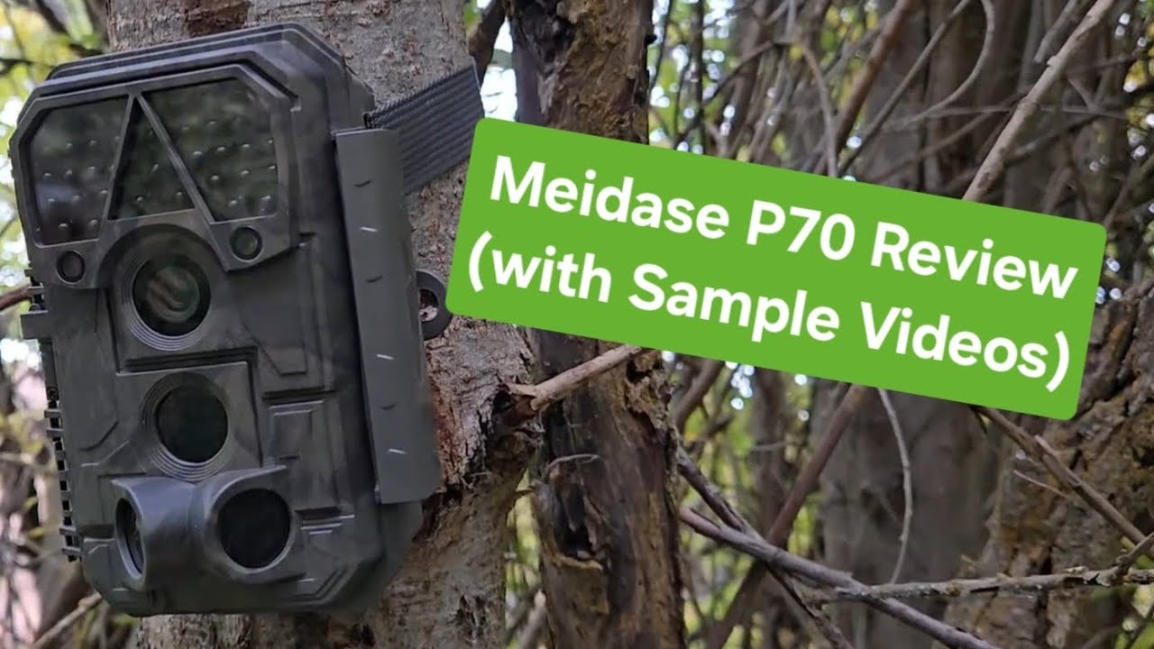 Meidase P70 Trail Camera Review - YouTube
