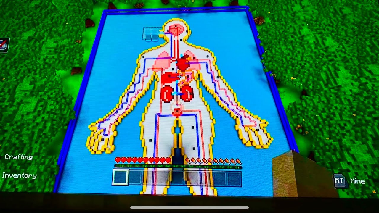 ASMR Minecraft: Anatomy Ride - YouTube