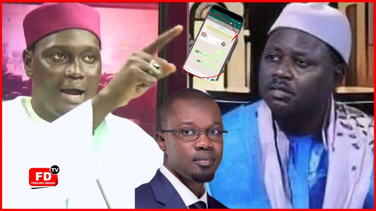 Cheikh Barra Niane répond aux détracteurs de Sonko et balance des ...