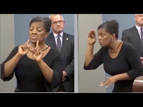 Fake Sign Language Interpreter