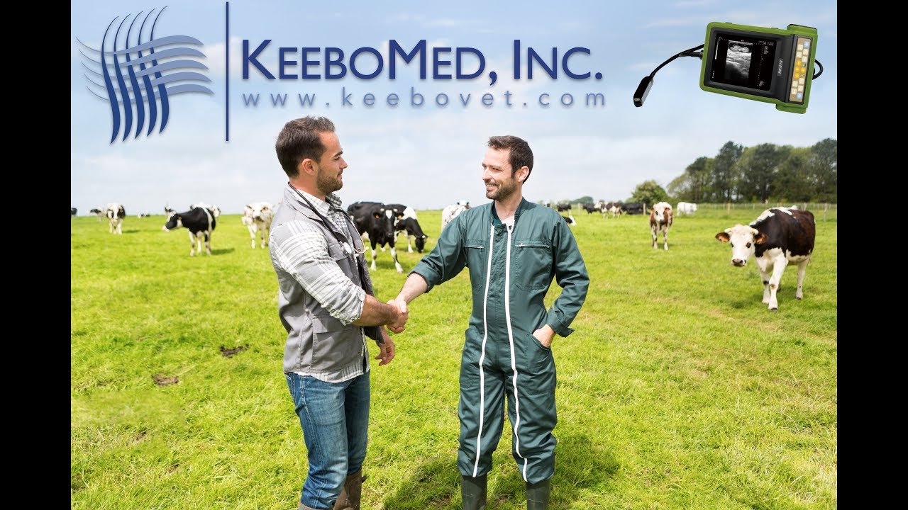 Bovine Cystitis Diagnosed by Vet with Portable Ultrasound Technology ...