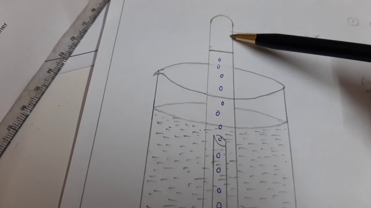 Biology ,HYDRILLA PLANT EXPERIMENT 10th class - YouTube
