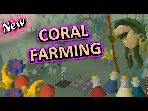 New Coral Nursery Overview
