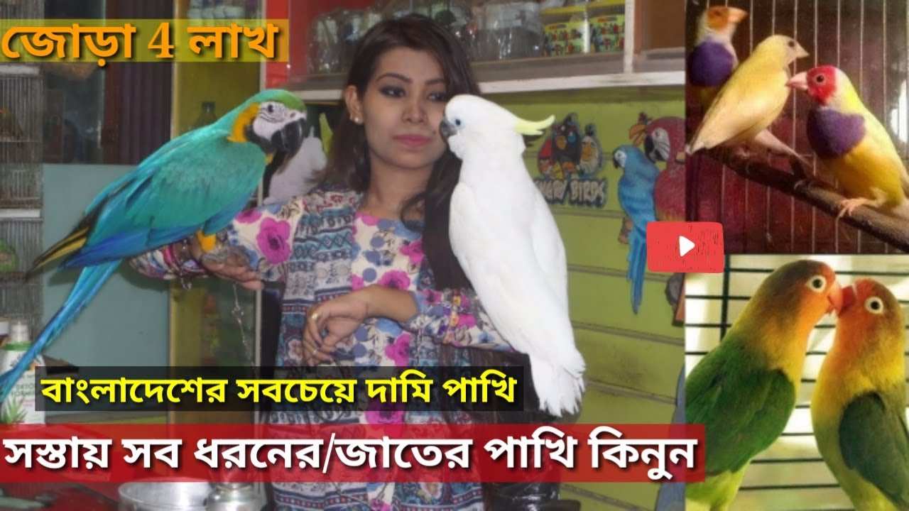 Birds price in bangladesh | The most expensive birds in BD | Buy birds ...