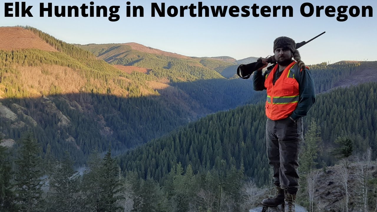 36 Hour Camping/Hunting Trip in Northwestern Oregon (Trask Unit) - YouTube