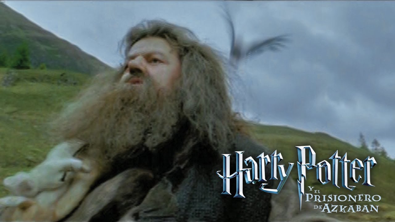 Hagrid Swats at a Bird (Deleted Scene) - Harry Potter And The Prisoner ...