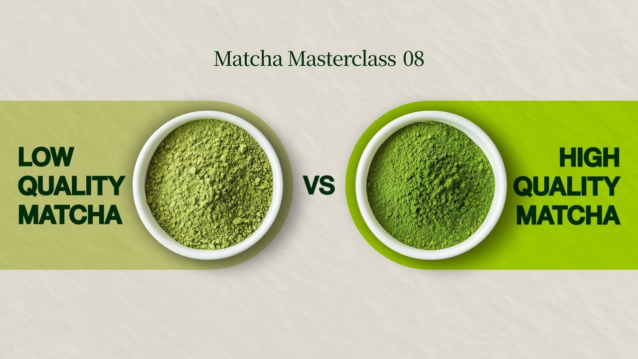 Matcha Ceremonial vs Culinary Explained - Difference Between Premium ...