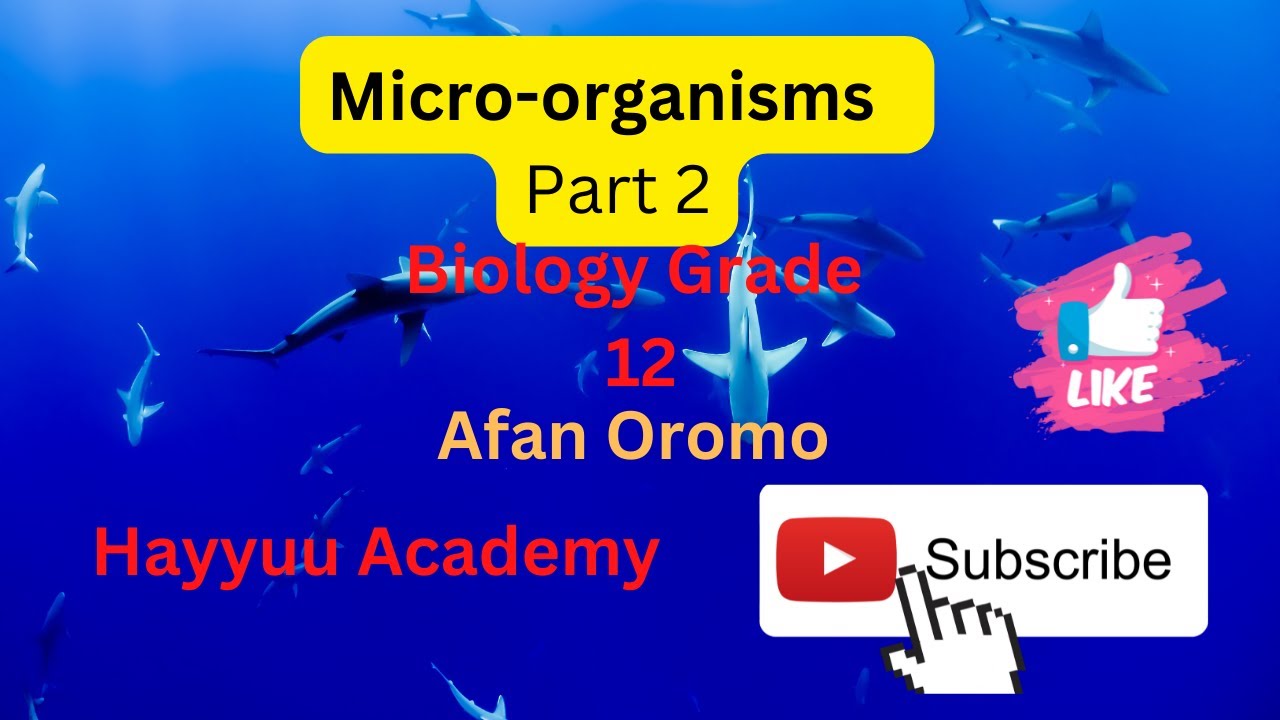 Biology Grade 12 Unit 1 part_2 in Afan oromo - YouTube