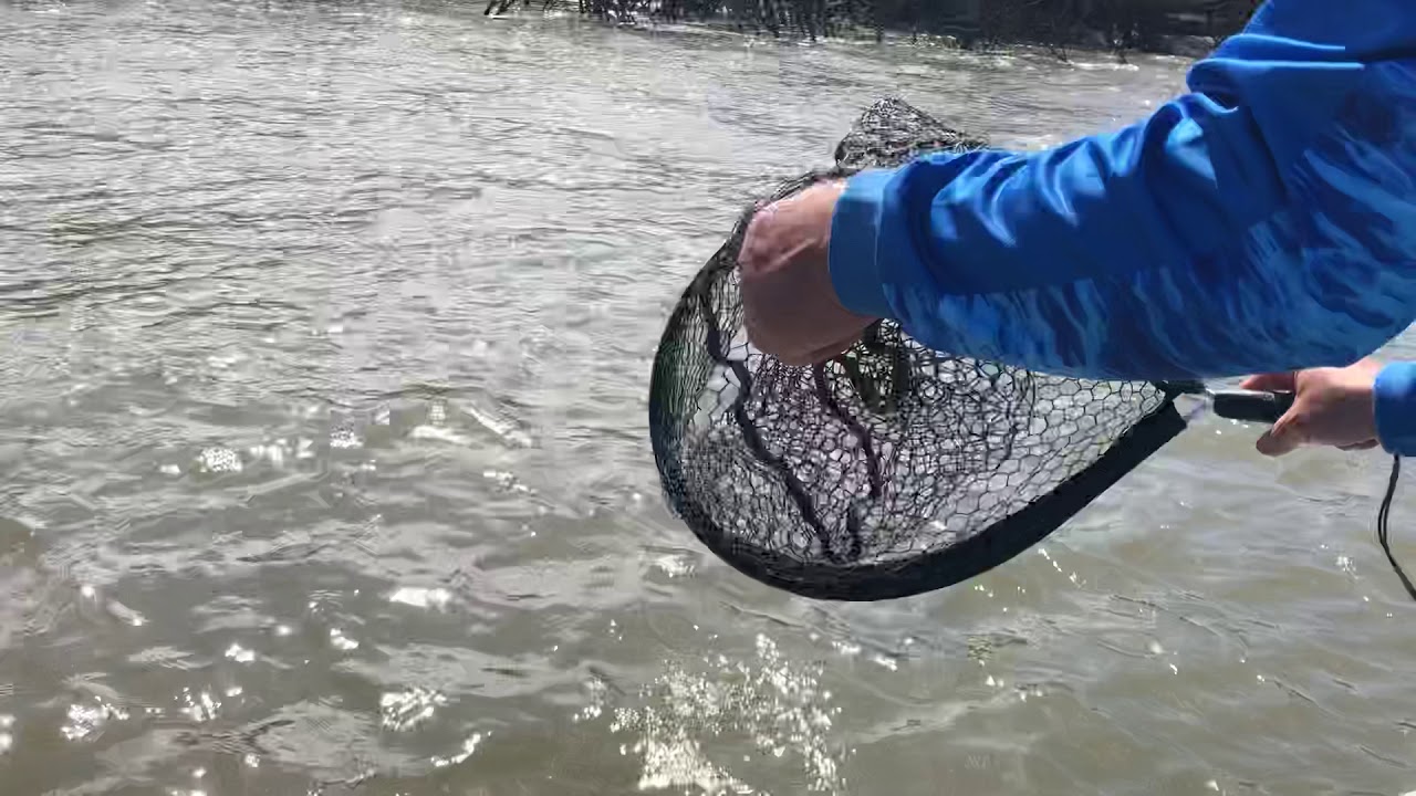 Murray Creek Mackay fishing for Barra. - YouTube