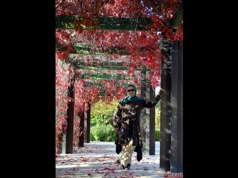 YARIM YAMALAK YORUM Özlem Ayral ( Mirage ) YAZAN Can Yücel