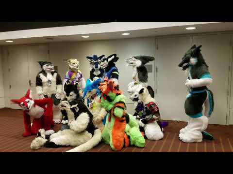 AC 2018 | Sergal Meet Up