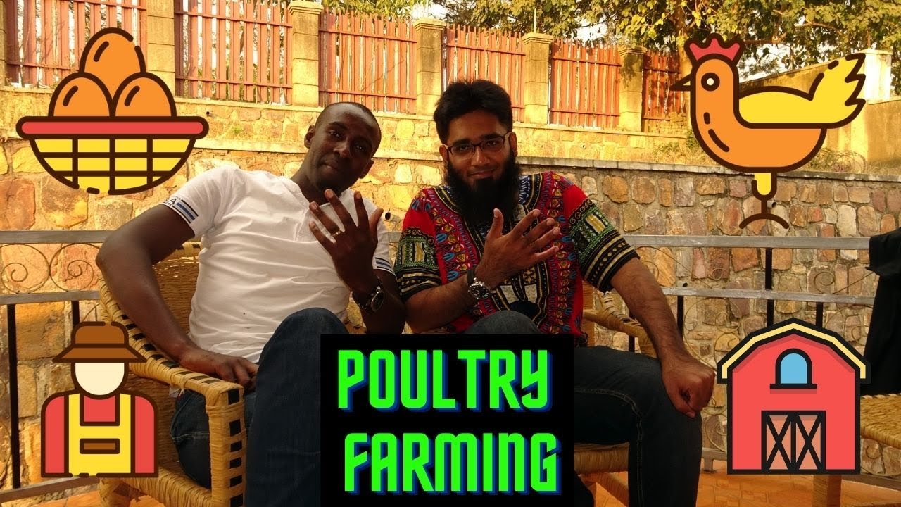 How to Start a Poultry Farming Business in Africa ? | Interview with ...