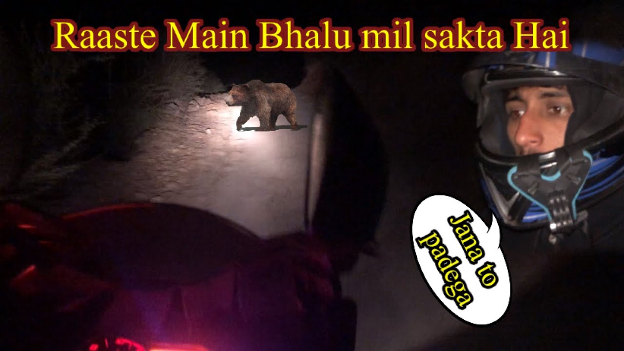 Bear Can Be Found On The Way😱 || Shali Devi Temple || Girish Pandit ...