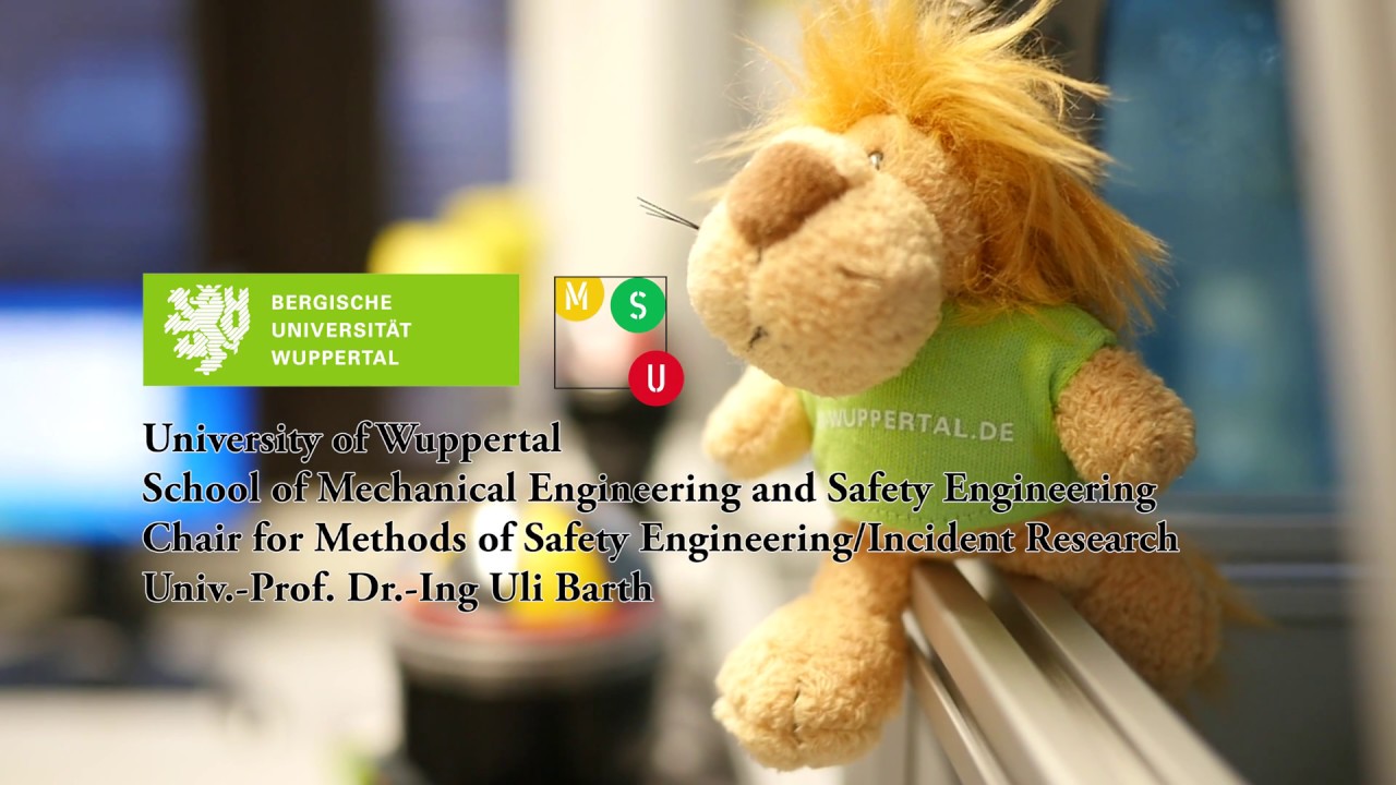 Amazingphil Lion Toy